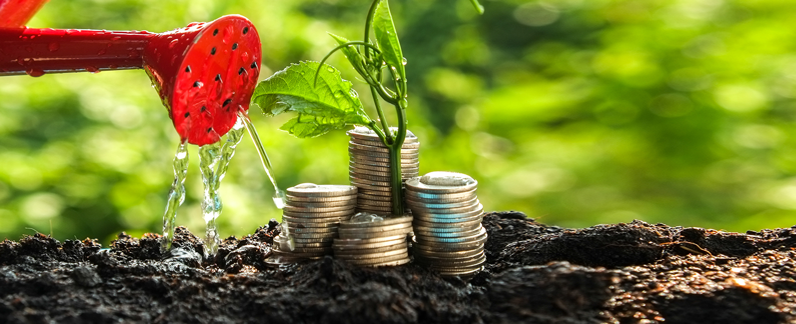 Pacific NW Federal Credit Union - Serving OR & WA